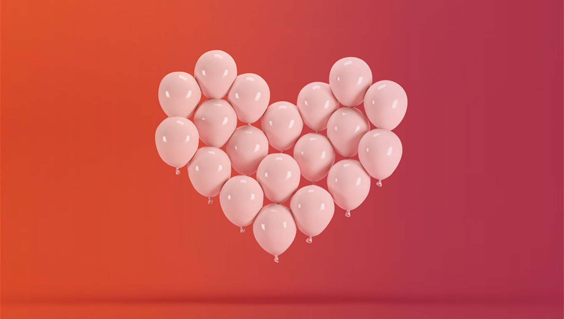 Learn about us and our e-commerce platform | Bizzkit