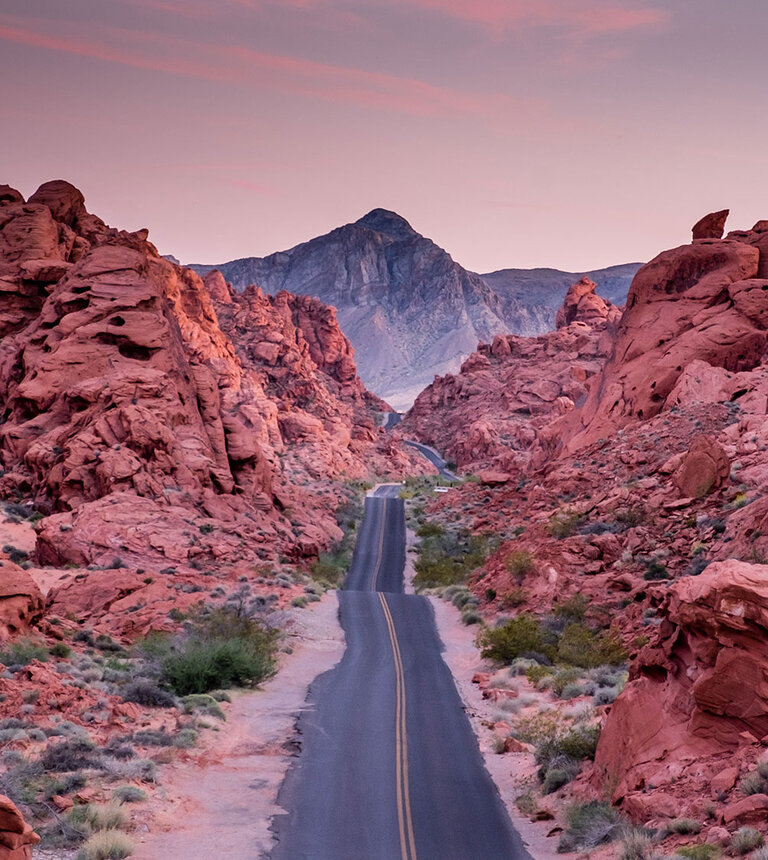 Danoffice IT | Reference Case | Ecommerce by Bizzkit